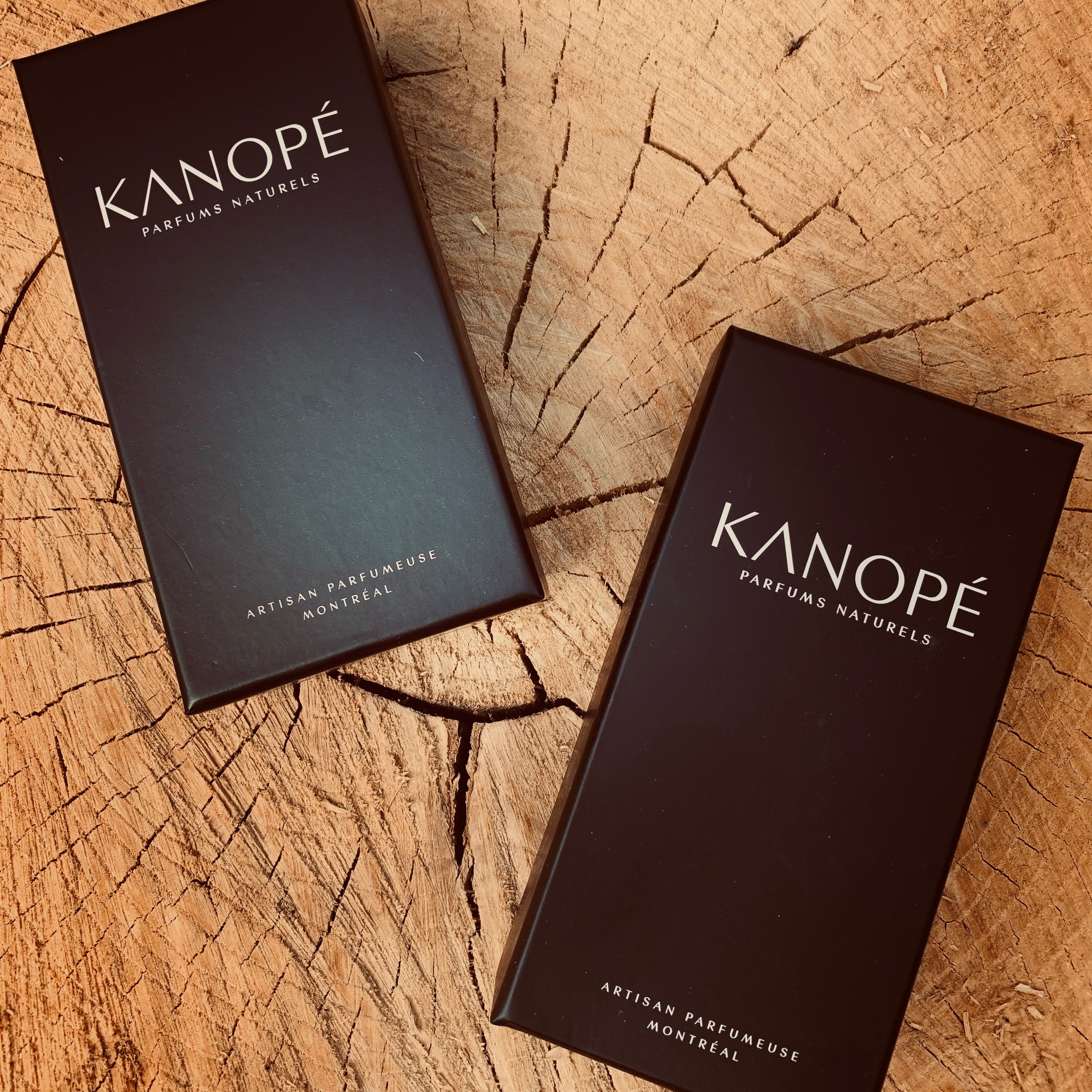 The world of woody fragrances – Kanopé Fragrances