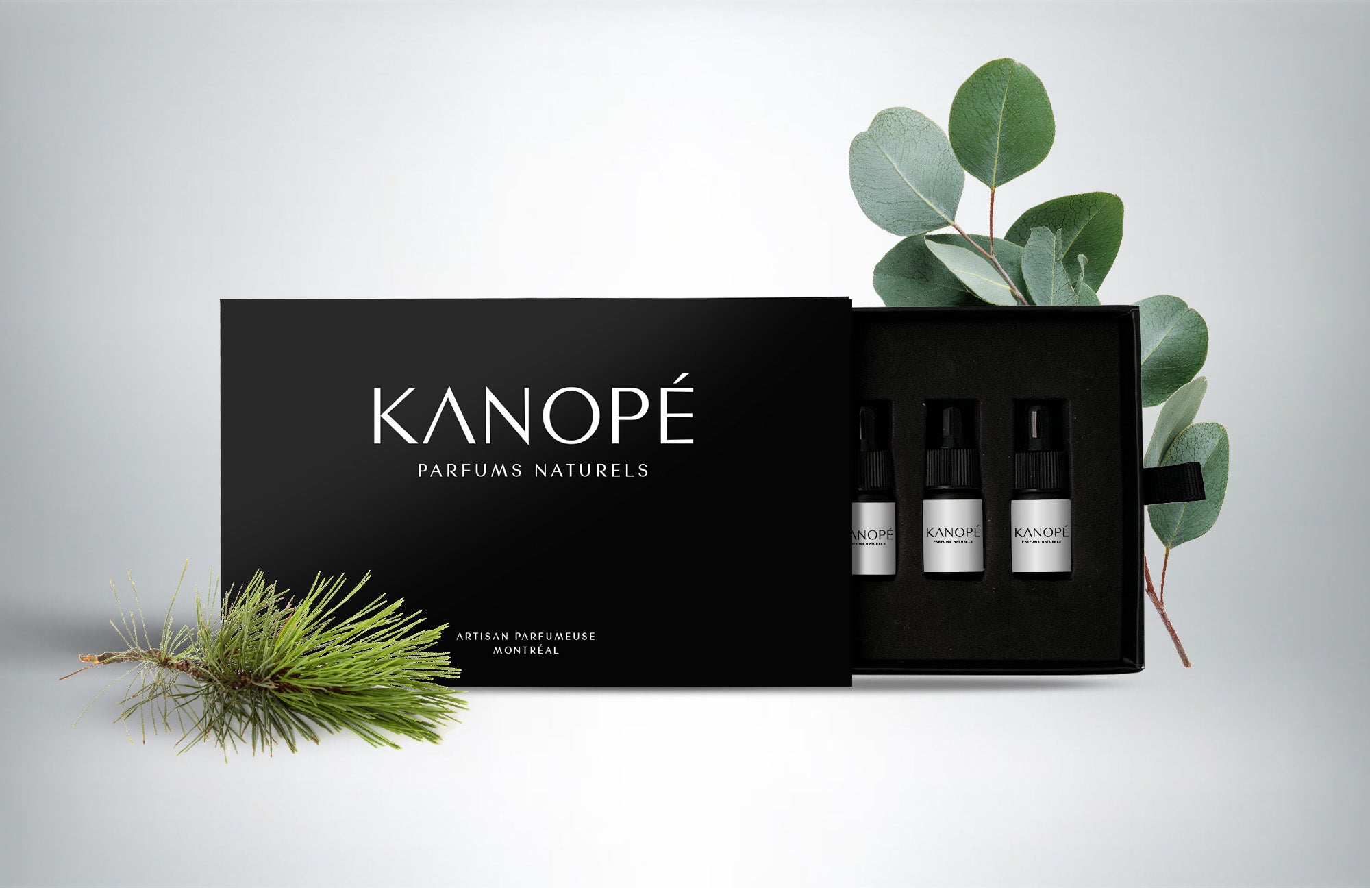 OLFACTIVE KIT EXTENSION BOX : CONIFEROUS NOTES – Kanopé Fragrances